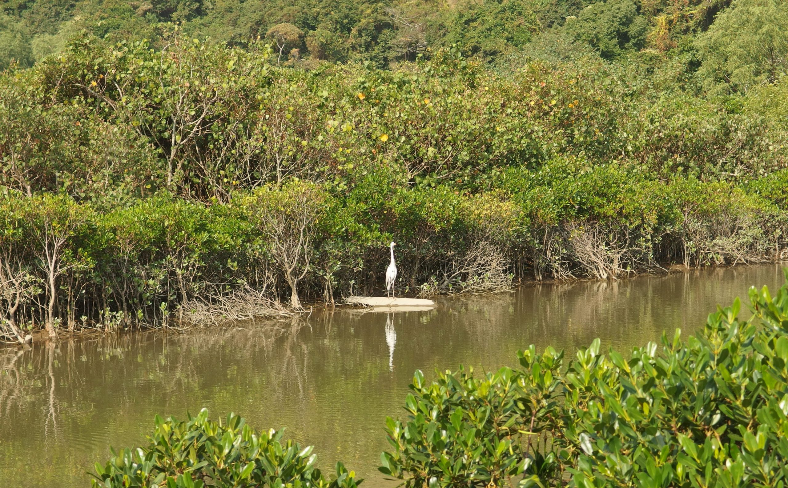 Contact - Frontiers in Data-Driven Environmental Solutions and Technology